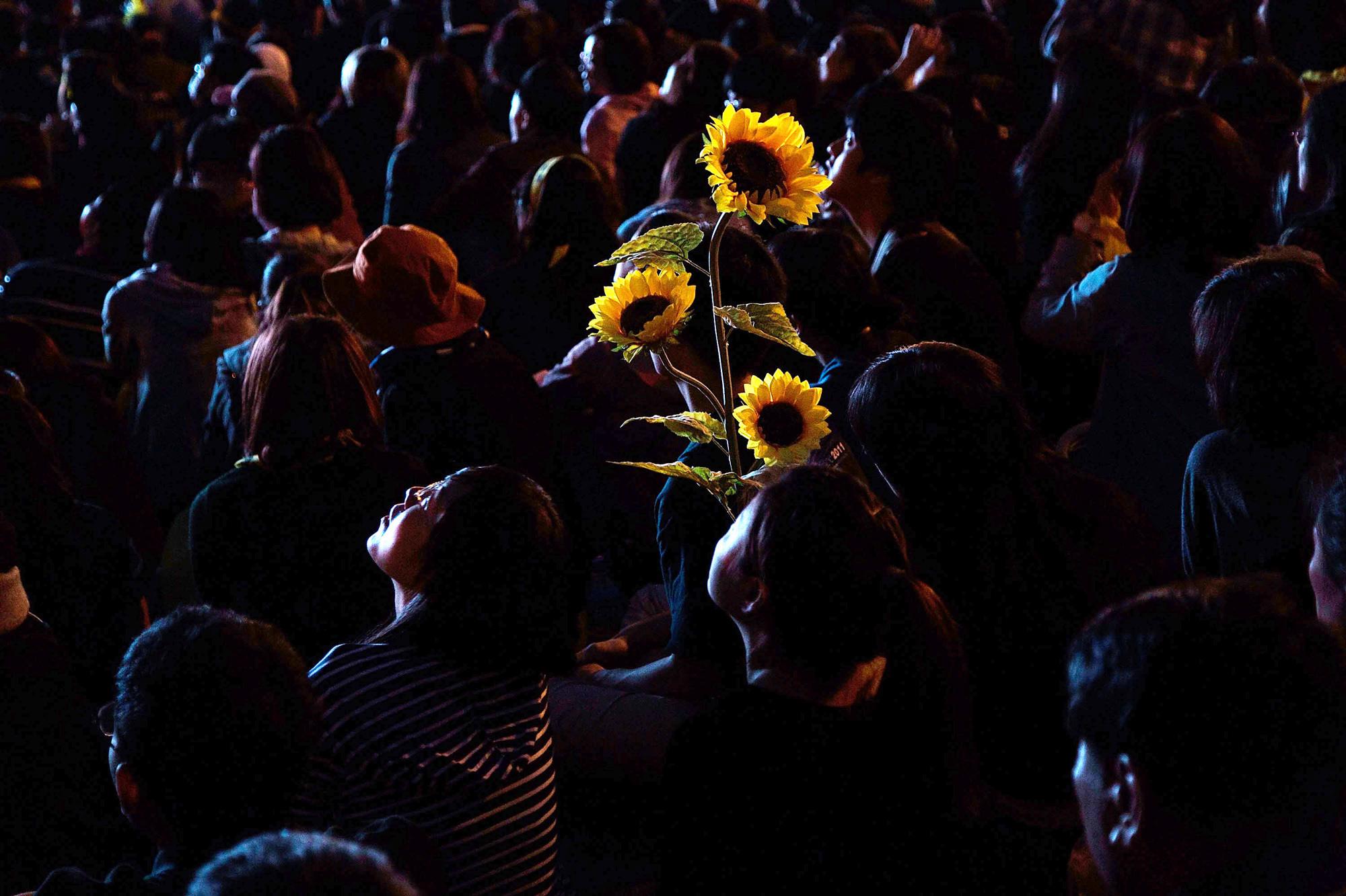 To save democracy, we must disrupt it - UnHerd