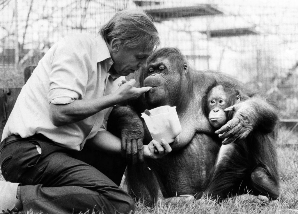 The invention of David Attenborough – USSA News | The Tea Party's Front ...